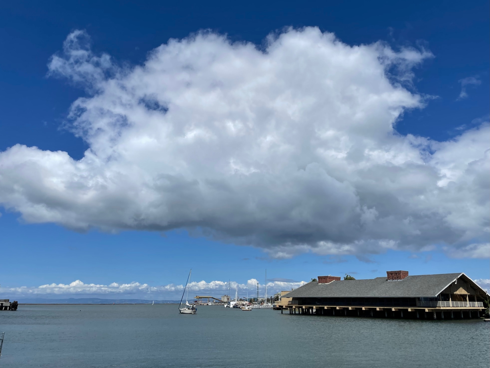 Pilot program offers San Francisco Giants fans game ferry service