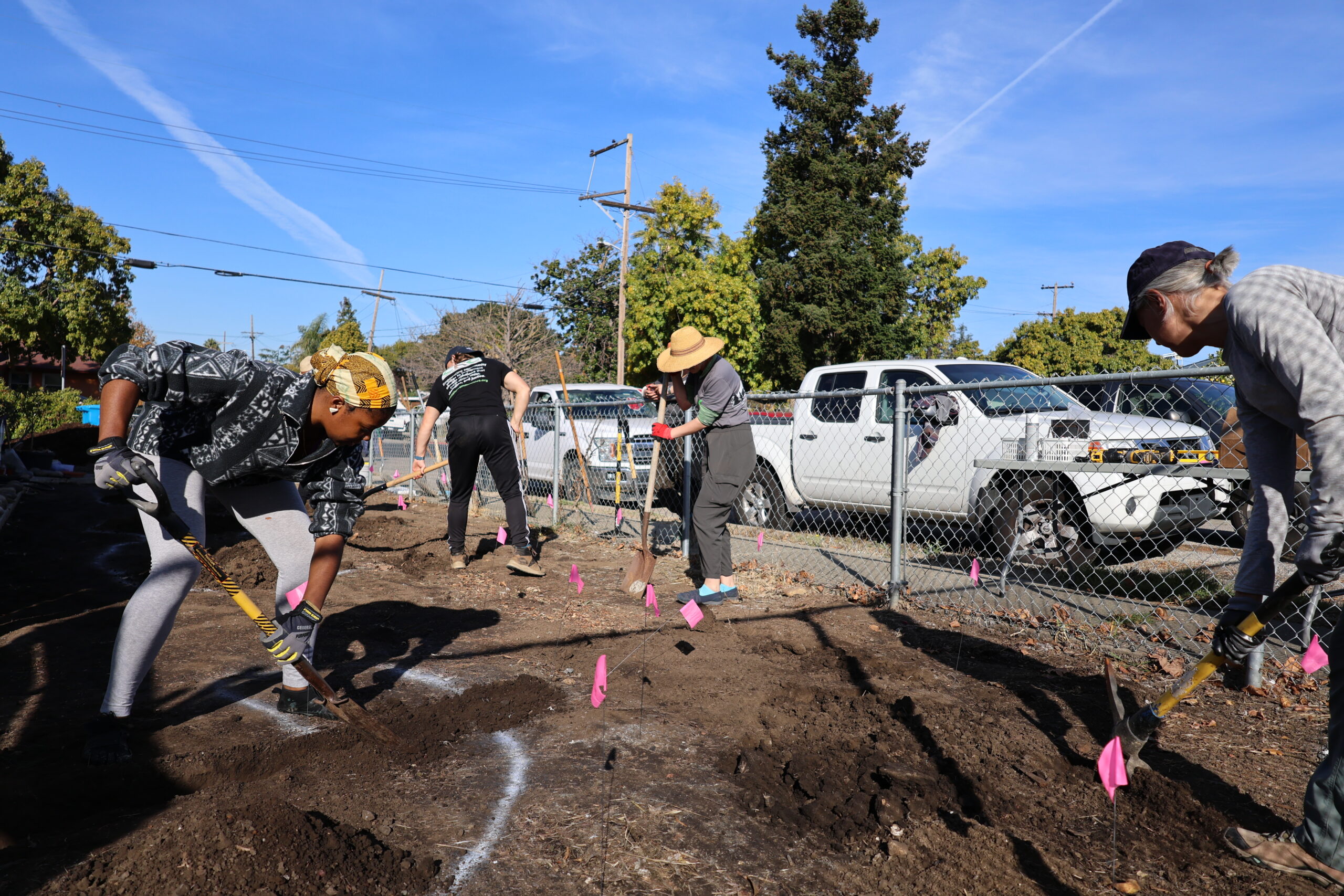 Community organizations turn to rain gardens to prevent flooding in ...