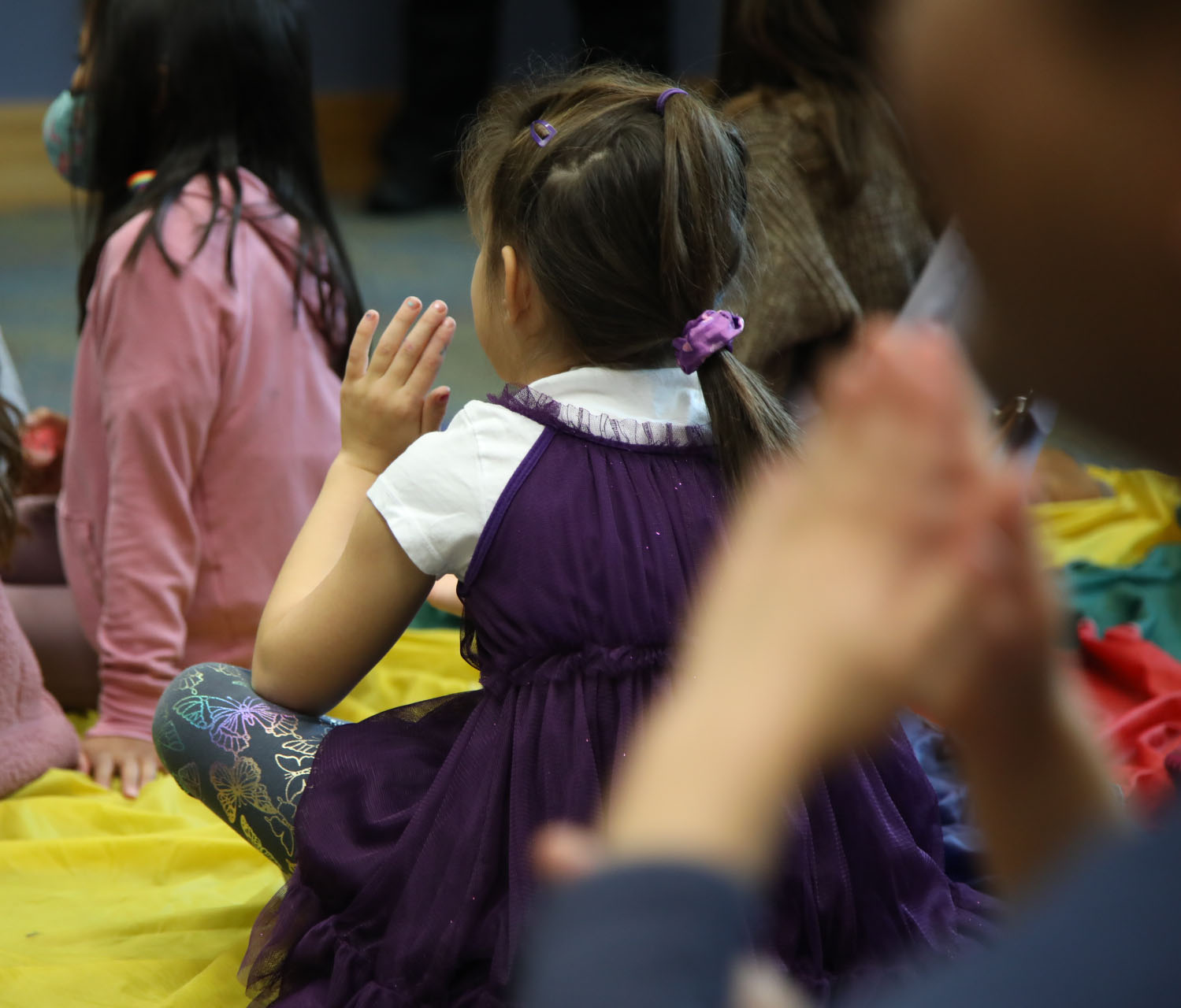 Redwood City Council defines state-level priorities - Redwood City Pulse