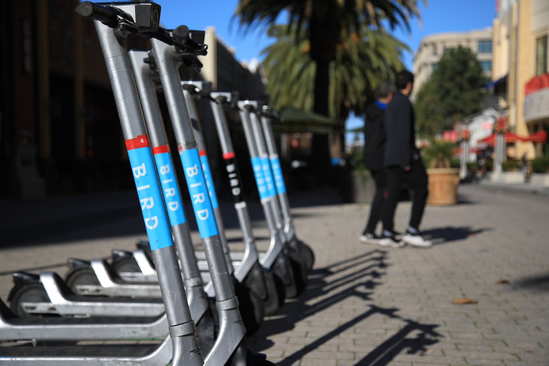 Bird scooters to return to Redwood City in April - Redwood City Pulse