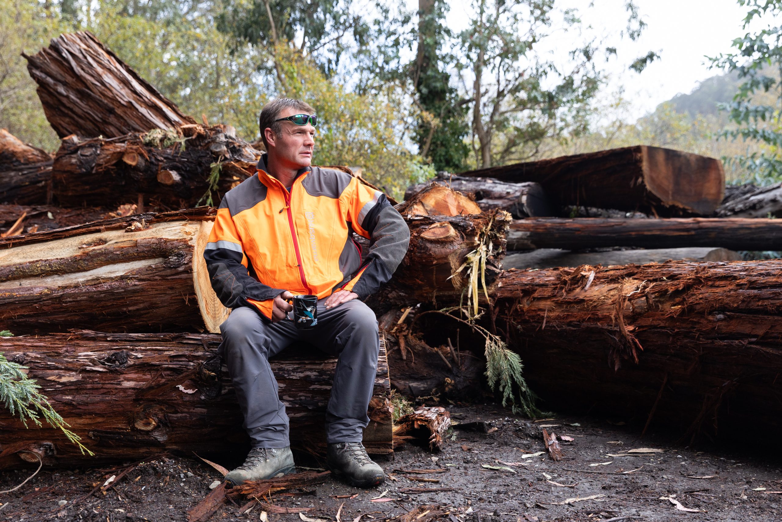 A Half Moon Bay lumber yard gives new life to reclaimed wood - Redwood ...